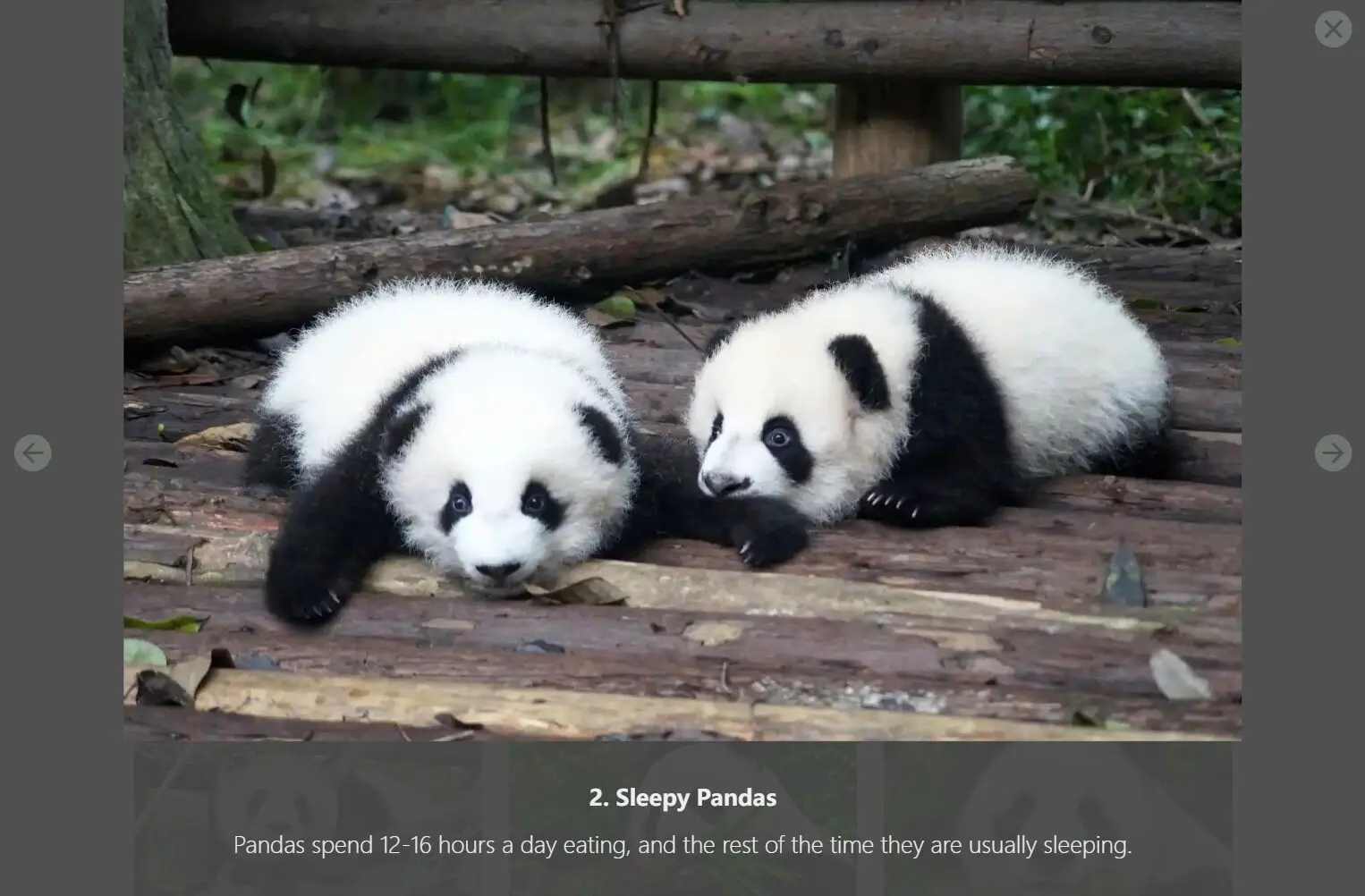 Customizable Lightbox & Gallery Component for Astro - Pandabox