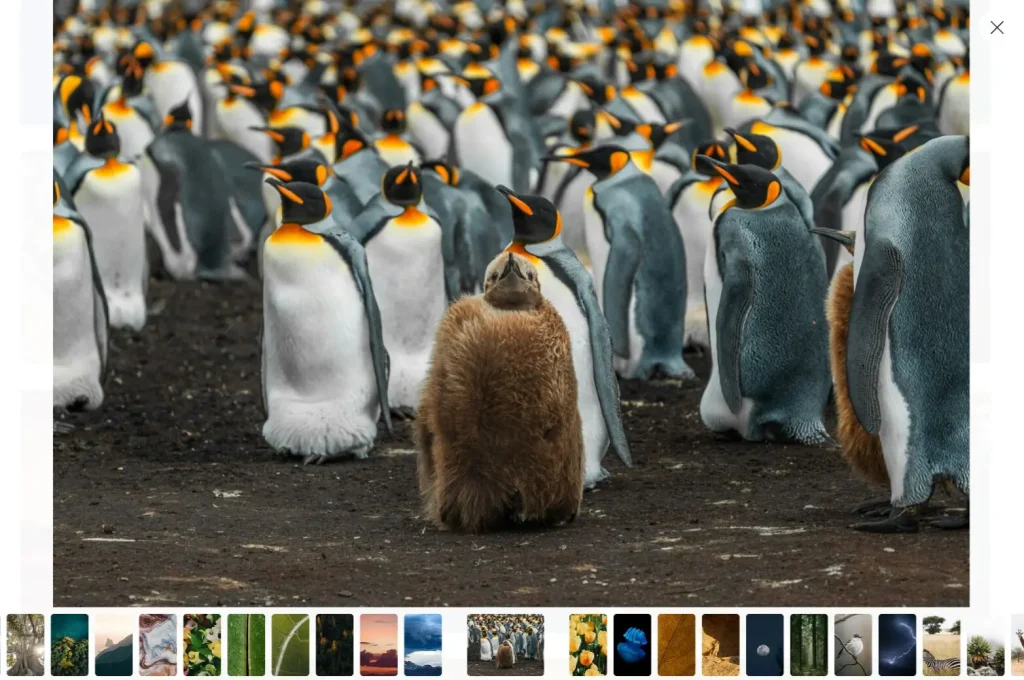 Responsive Photo Gallery Template for Astro - Photo Grid